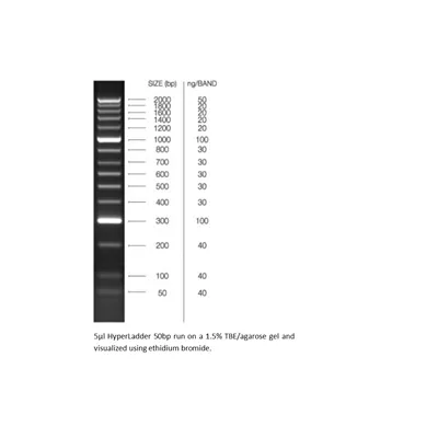 HyperLadder 50bp, formally HyperLadder II | LAB MARK